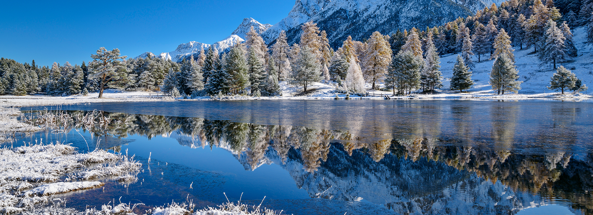 Book flights with SWISS - your journey starts here | SWISS