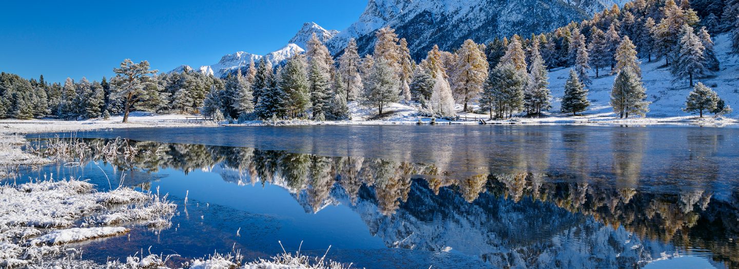 Book flights with SWISS - your journey starts here | SWISS