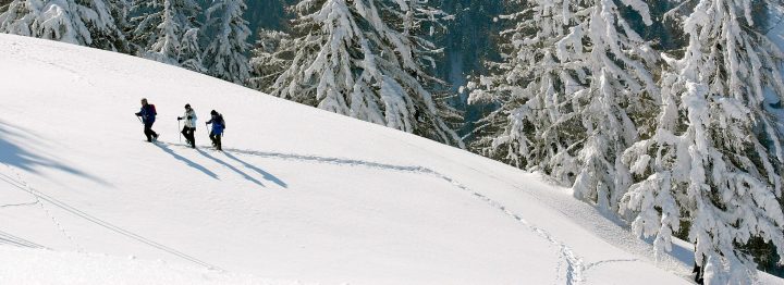 Book flights with SWISS - your journey starts here | SWISS