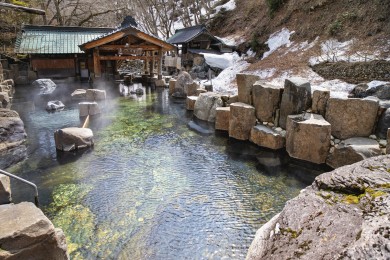 Sakura: Road Trip to the Japanese Cherry Blossom